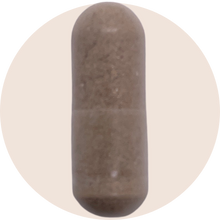 LVLUP – Vitaboom.com