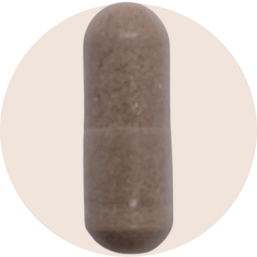 LVLUP – Vitaboom.com