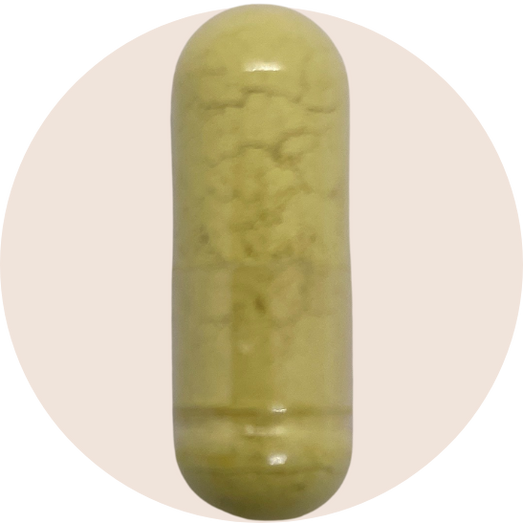 LVLUP – Vitaboom.com